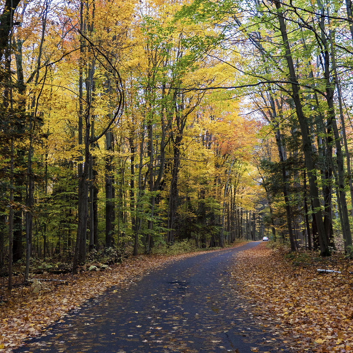 Best Road Trips in Ontario: The Ultimate Guide