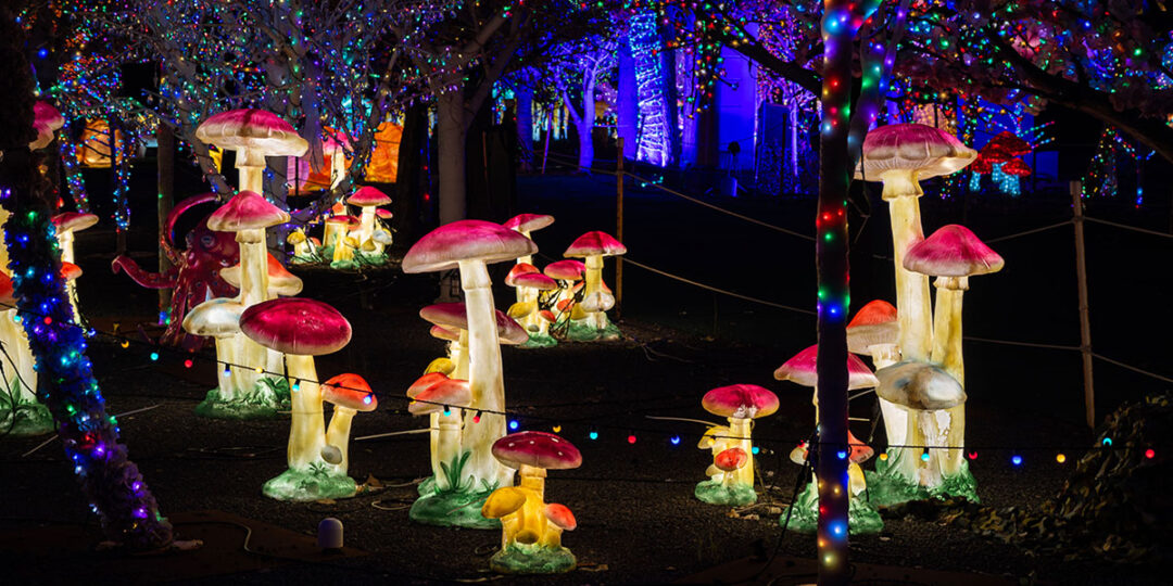 20 Best Things to Do in Laval That You'll Love